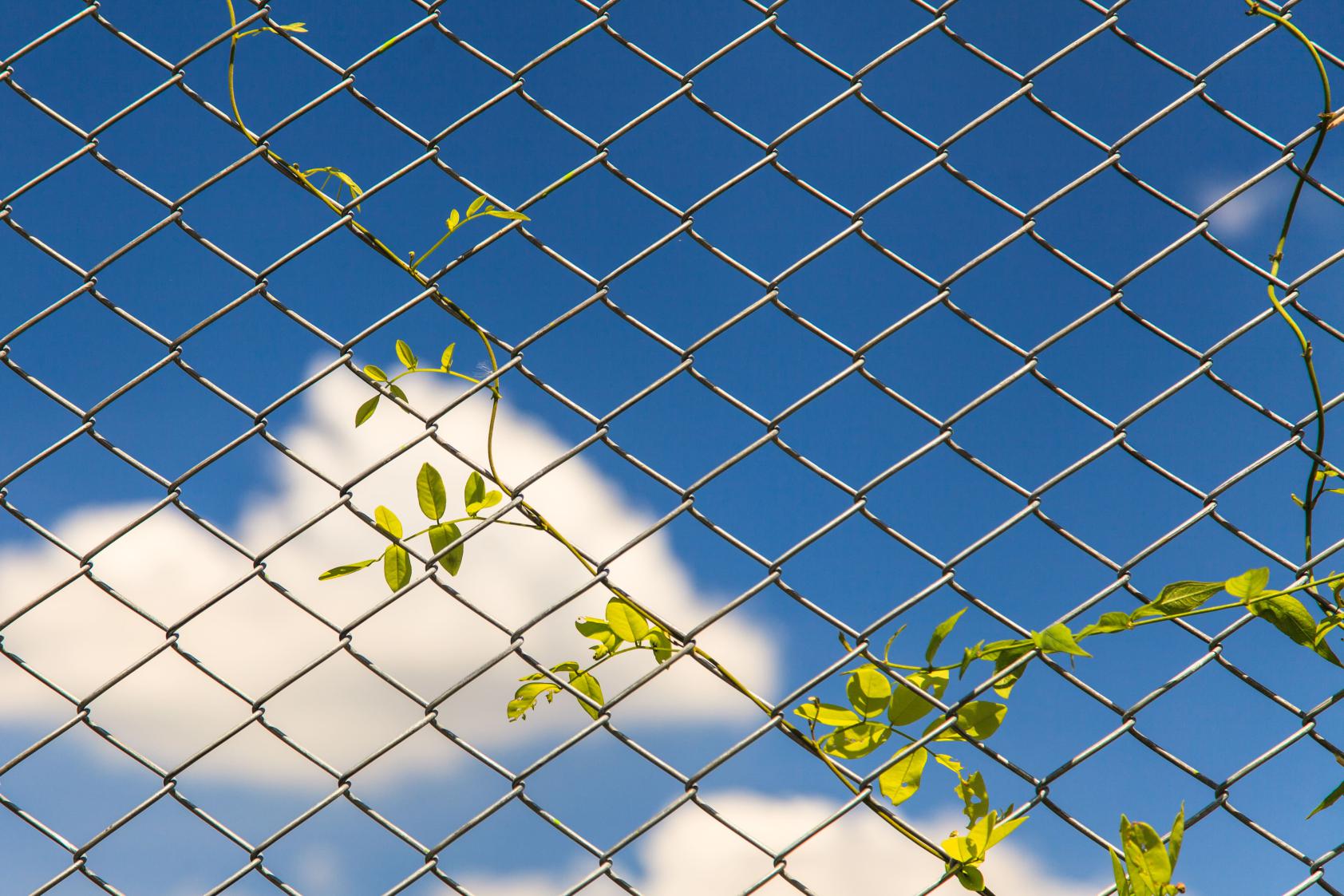 Concertina Para Parque Solar – Parque Solar Lagotela